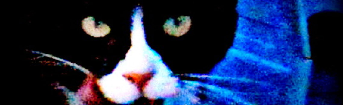 Artwork - Debra Davis Hinkle